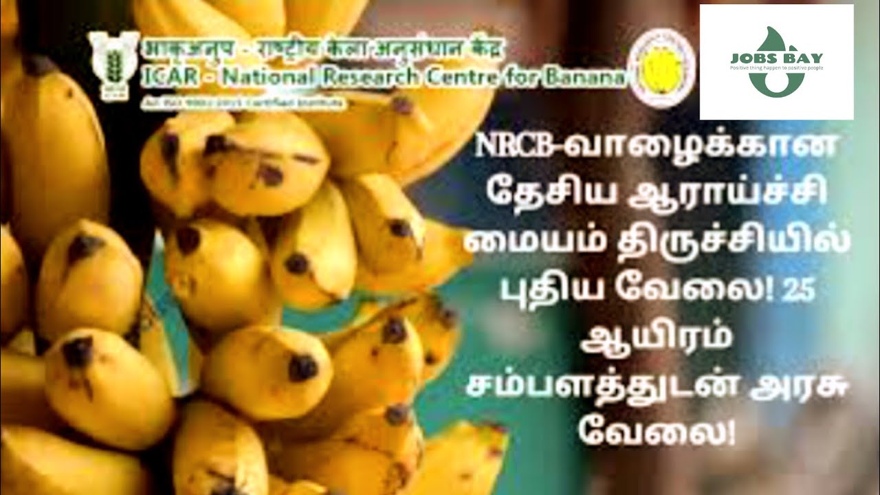 NRCB Recruitment 2023/National Research Centre for Banana (NRCB)/Trichy ...