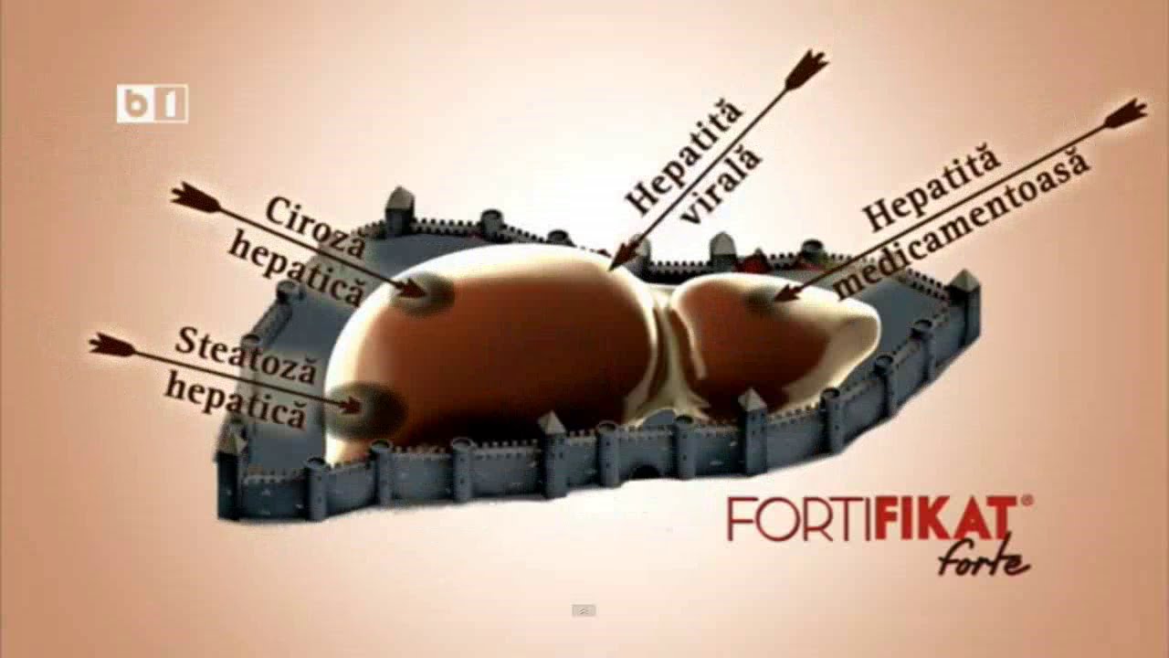 Reclama Fortifikat Forte (aug 2015) - YouTube