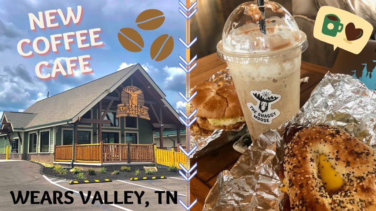 THE SHAGGY MOOSE COFFEE HOUSE & CAFE FOOD REVIEW IN WEARS VALLEY, TN ...