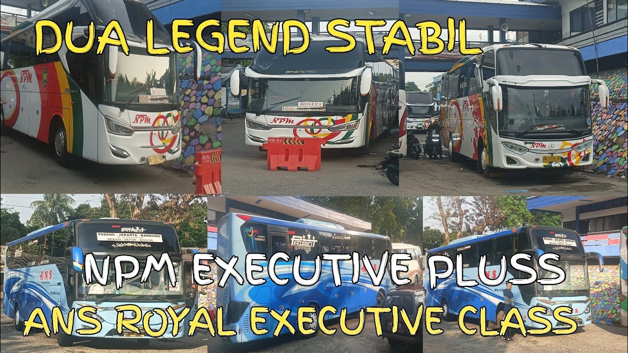NPM EXECUTIVE PLUSS ||ANS ROYAL CLASS‼️TETAP STABIL STAR BOGOR - YouTube