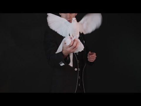 Dove Magic | Dove | Split | First time | Pakistan | Afzaal Afridi - YouTube