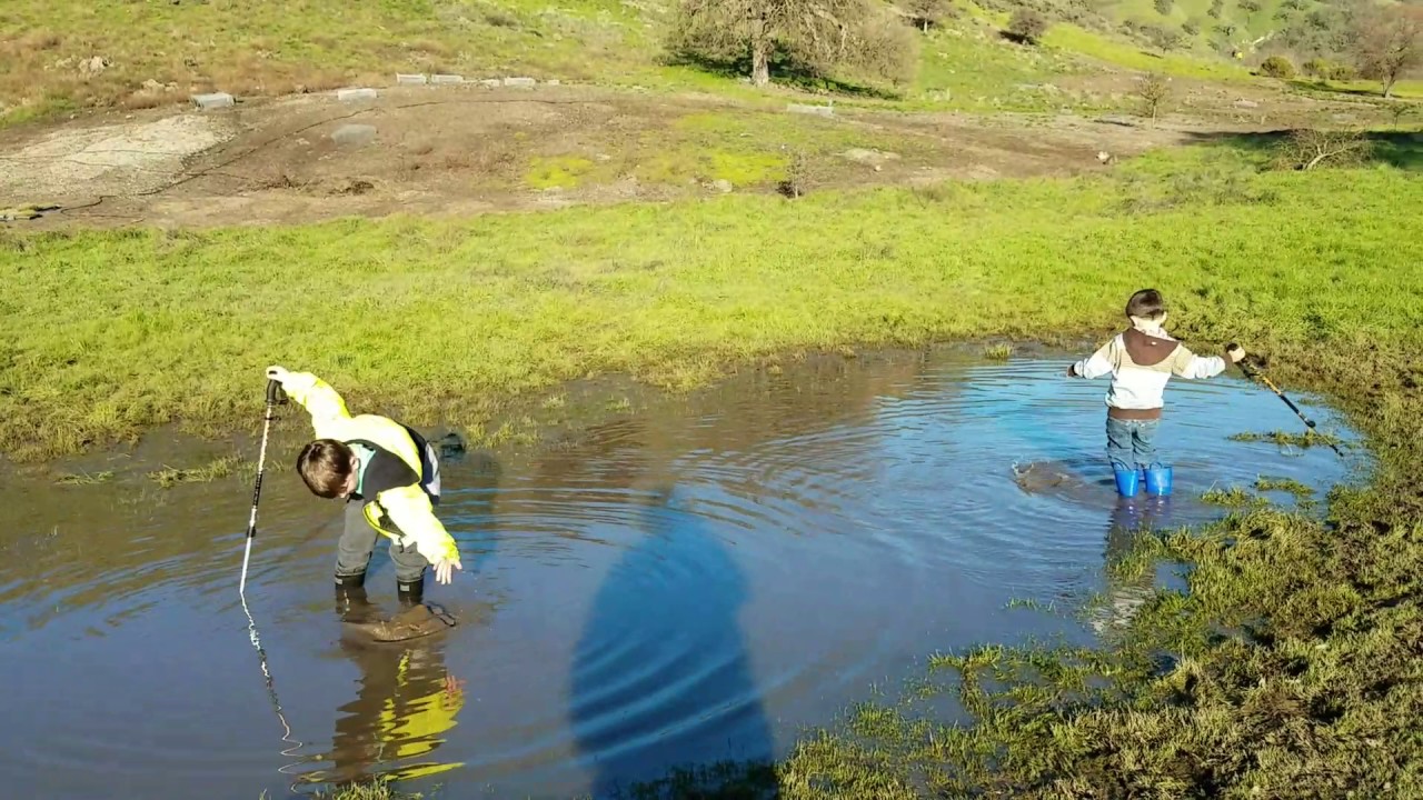 Fun in a puddle - YouTube