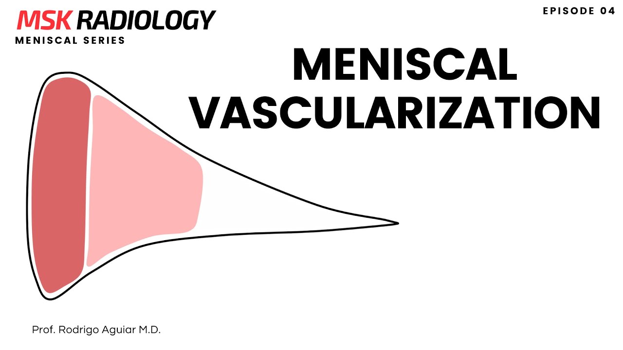 04 - Meniscal Vascularization - YouTube