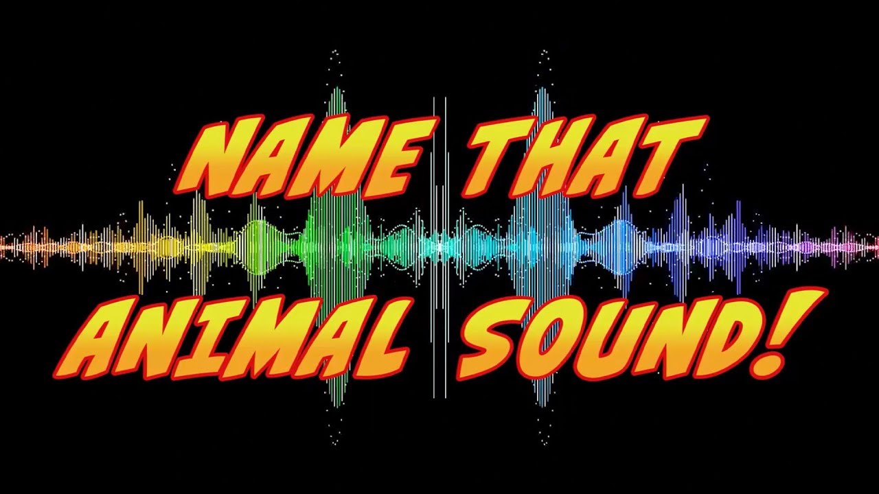 Play Name That Animal Sound (perfect game for large or small group ...
