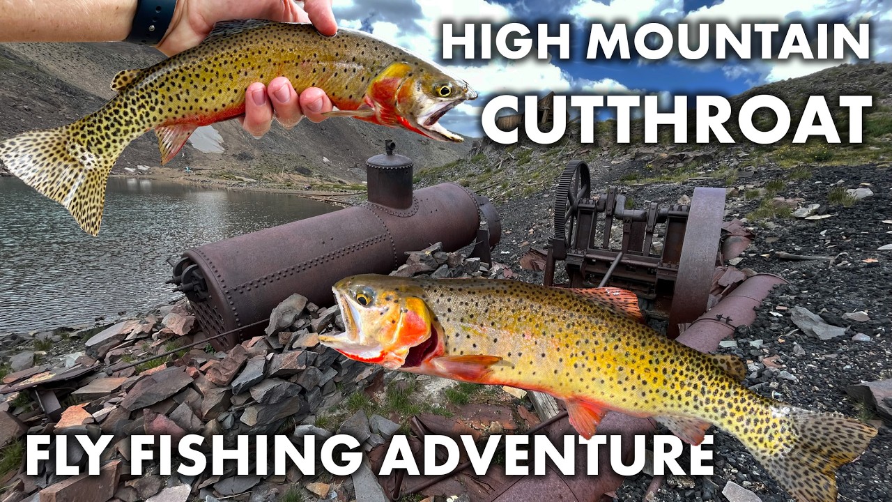 Abandoned Gold Mine Fly Fishing - Cutthroat in Alpine Lake - Colorado ...