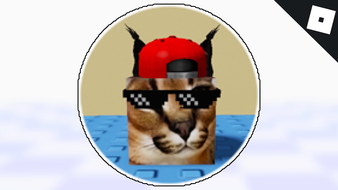 How to get the COOL FLOPPA BADGE & MORPH in FIND THE FLOPPA MORPHS ...