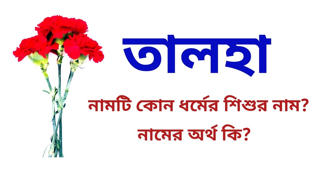 তালহা নামের অর্থ কি || Talha name meanings || What is the meanings of ...