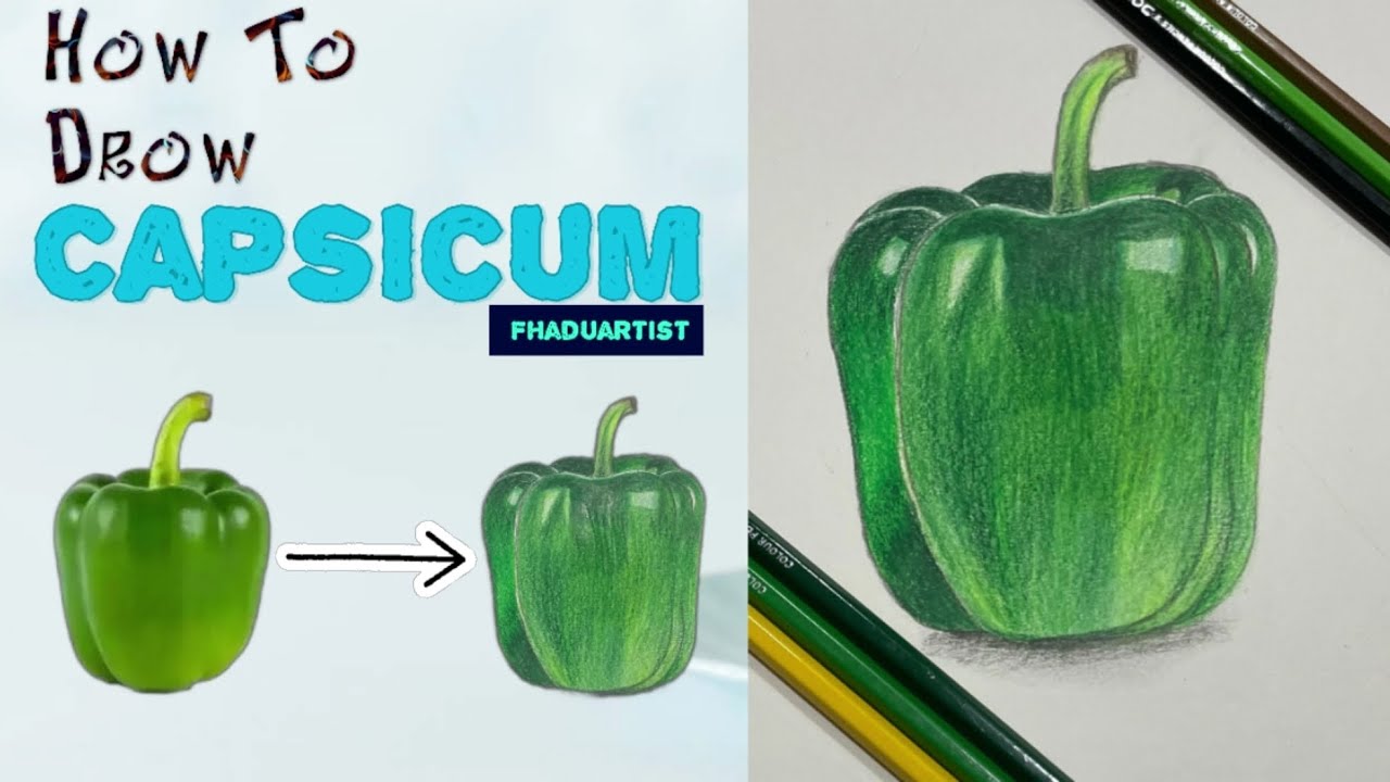 How To Drow Capsicum | Shimla Mirch Drawing - YouTube