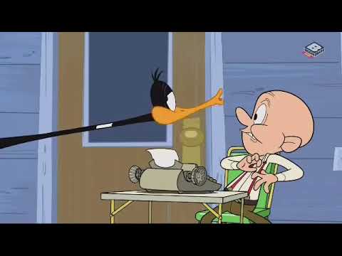 New Looney Tunes | Spring Break trouble - YouTube