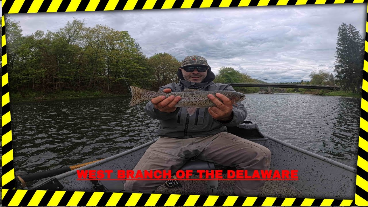 AMAZING DRY FLY ACTION CHASING BIG TROUT ON WB - YouTube