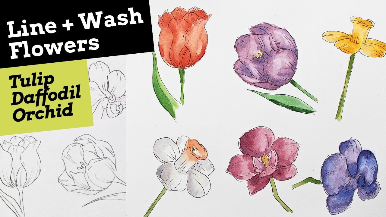 Easy Line and Wash Flowers Pt 2 - YouTube