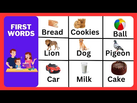 My First Words - Learn Basic English Vocabulary - Picture Words | Fun ...