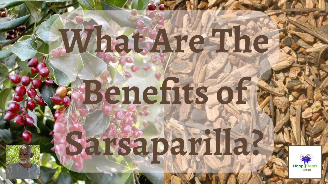 🌿 What Are The Benefits Of Sarsaparilla? 🌿 Dr Sebi Magnetic Electrical ...