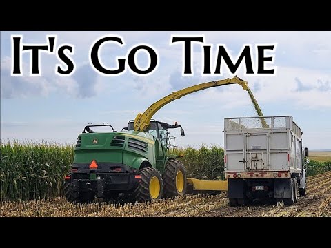 Chopping Corn Silage Begins - YouTube