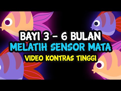 Video Tontonan Bayi 3 - 6 Bulan | Ikan Warna-Warni Berenang Lucu Dan Menggemaskan