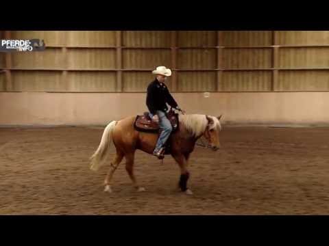 Westerntraining mit Felix Schnabel - Umstellung der Zügelführung - YouTube