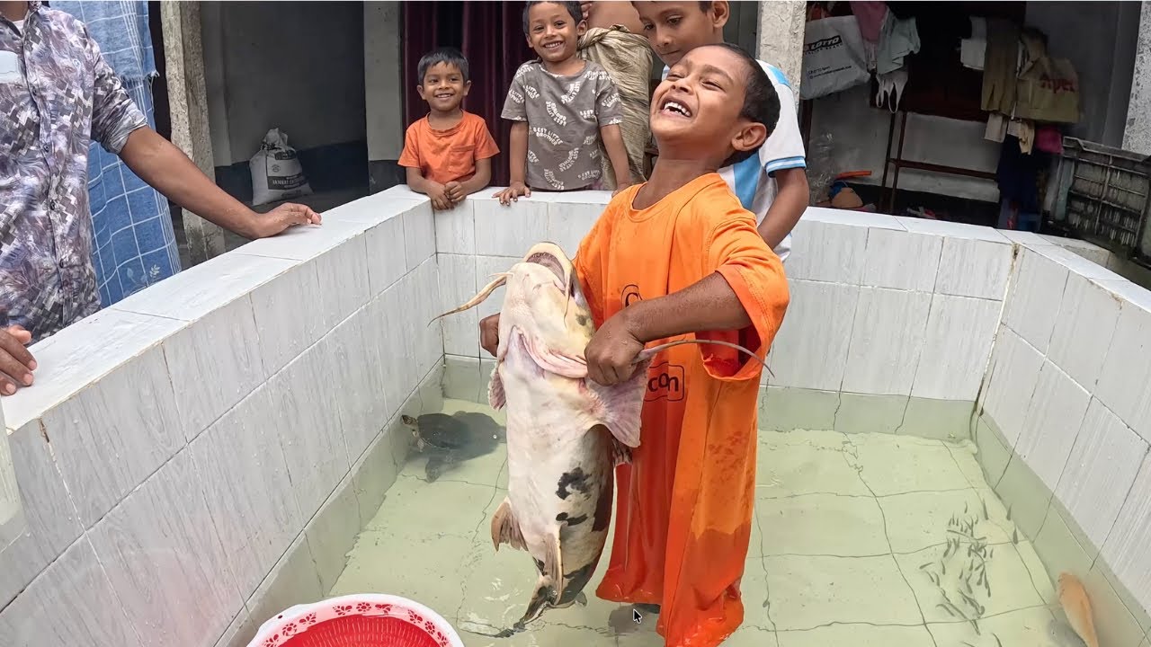 Kids Catching Fish in Aquarium for Cat Fish Tank Culture - YouTube