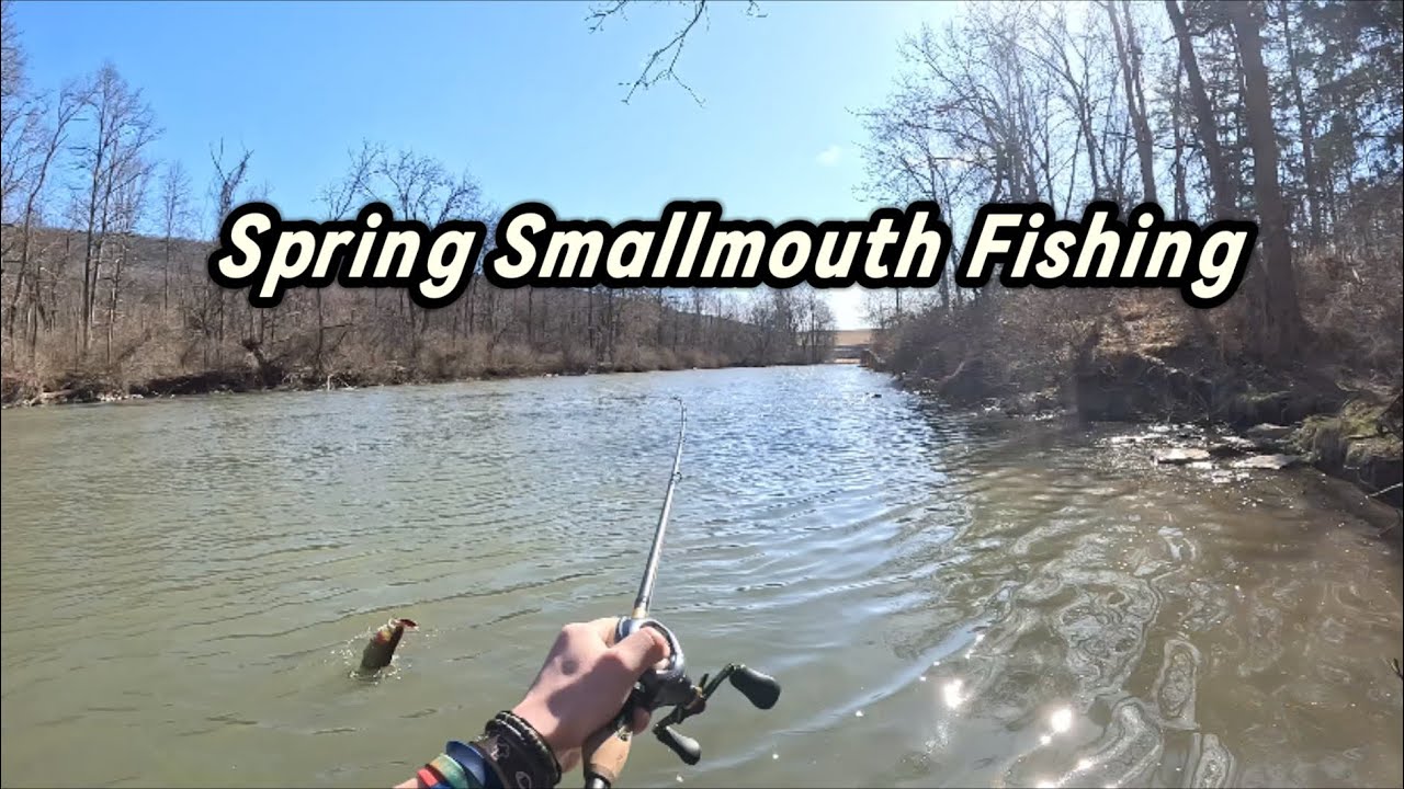 Pre-Spawn Creek Fishing Spring Smallmouth - YouTube