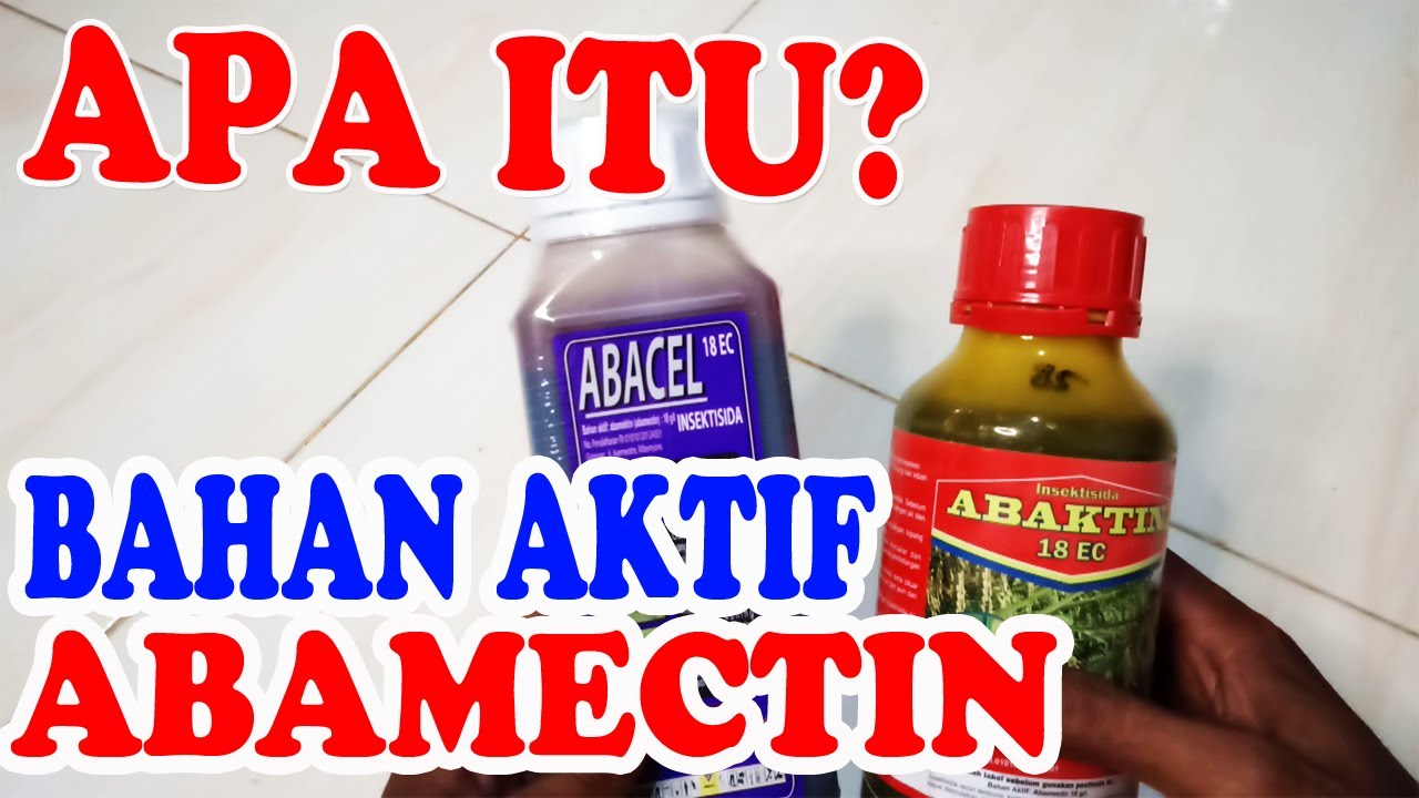 Penjelasan Bahan Aktif ABAMECTIN-Dan fungsinya - YouTube