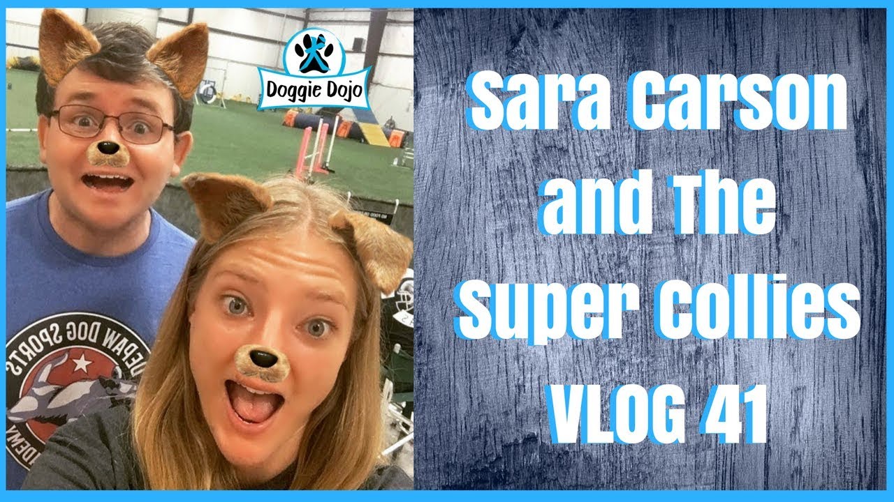 Sara Carson and The Super Collies - #DogWinsGPS Giveaway - VLOG 41 ...