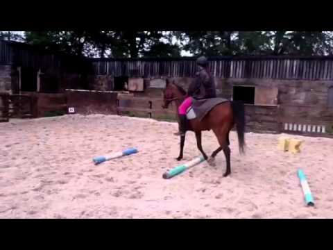 bareback, barefoot & bitless - YouTube