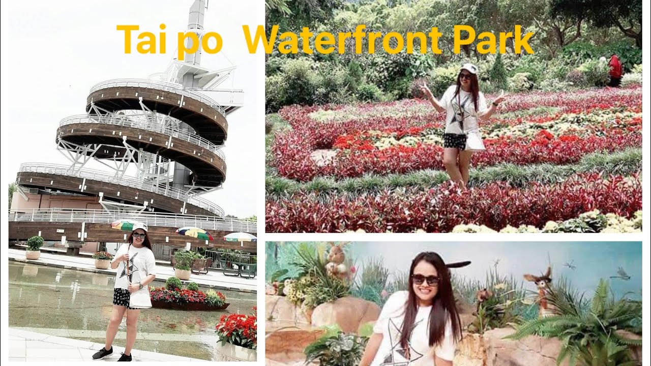 Let’s visit Tai Po Waterfront Park/Home/Leisure and Cultural services ...