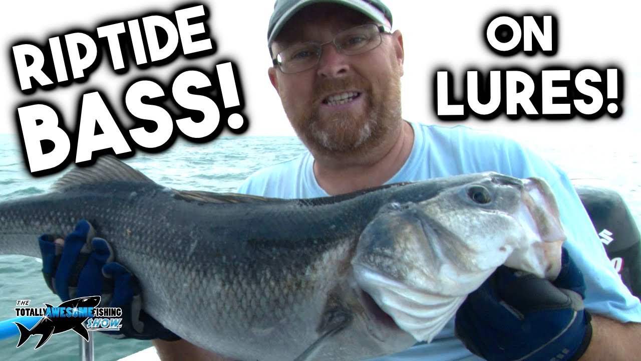 Riptide Bass Fishing! | TAFishing - YouTube
