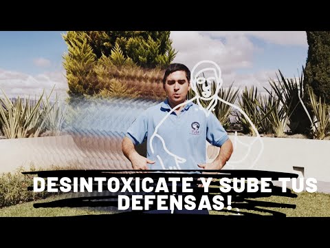 Desintoxicate y fortalece tu SISTEMA INMUNOLÓGICO