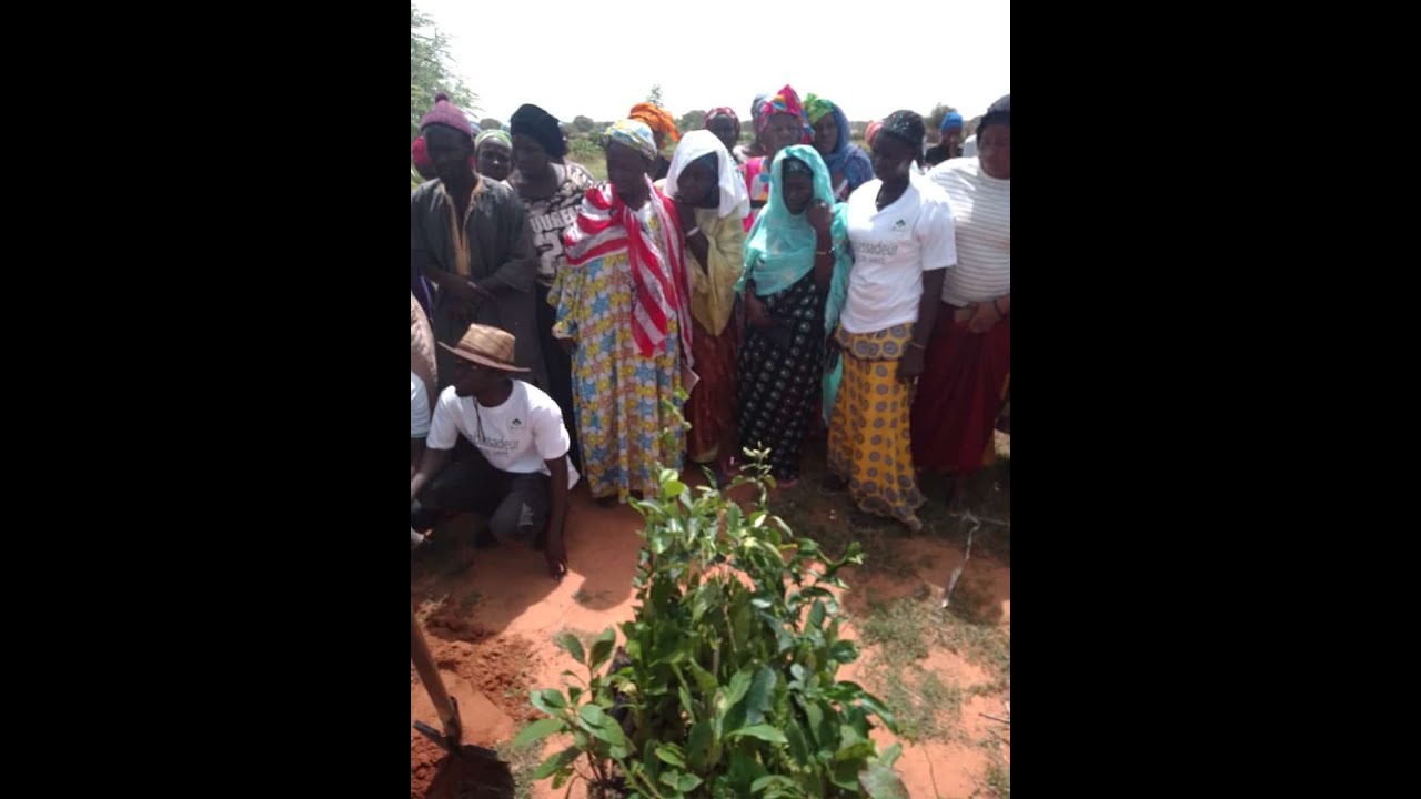 Les Femmes de Ndiayene Pendao Accueillent Fièrement les Ambassadeurs de ...