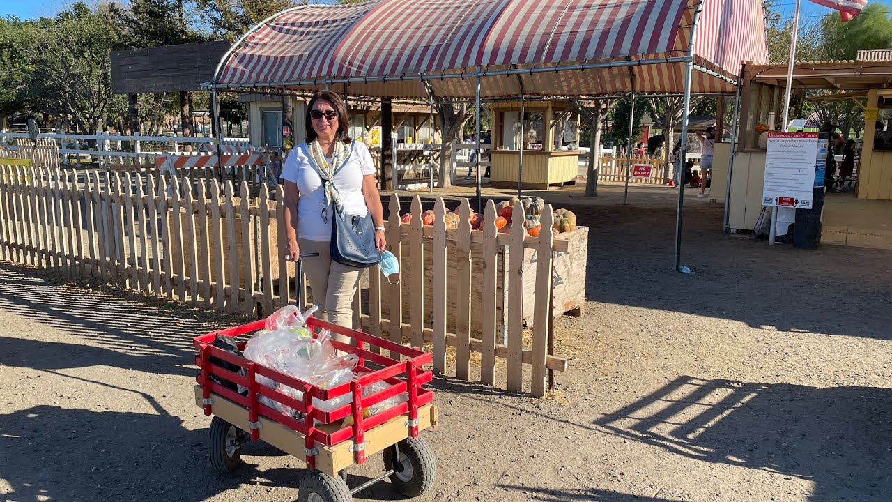 UNDERWOOD FAMILY FARMS: Fun under the sun - YouTube