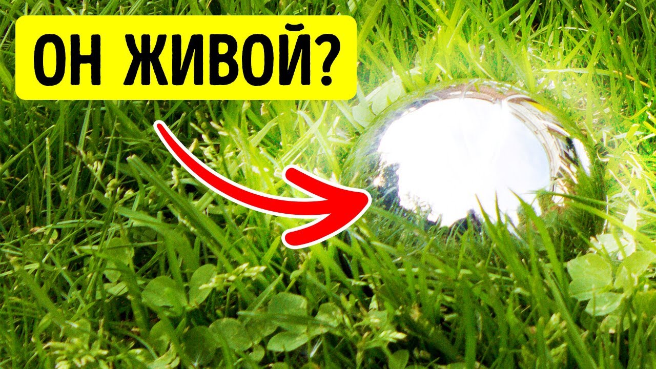 Стальной шар, который двигался сам по себе - YouTube