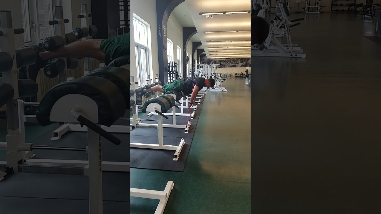 Band Resisted Back Extension - YouTube