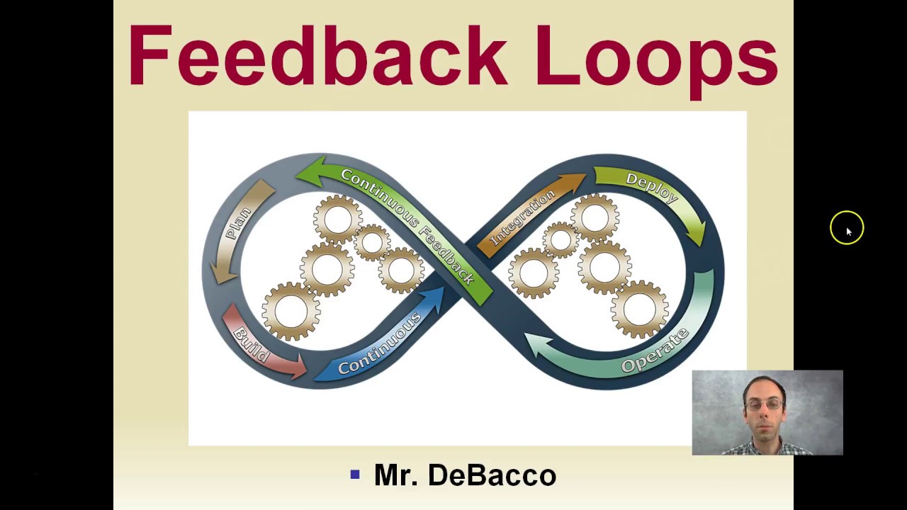 Feedback Loops - YouTube