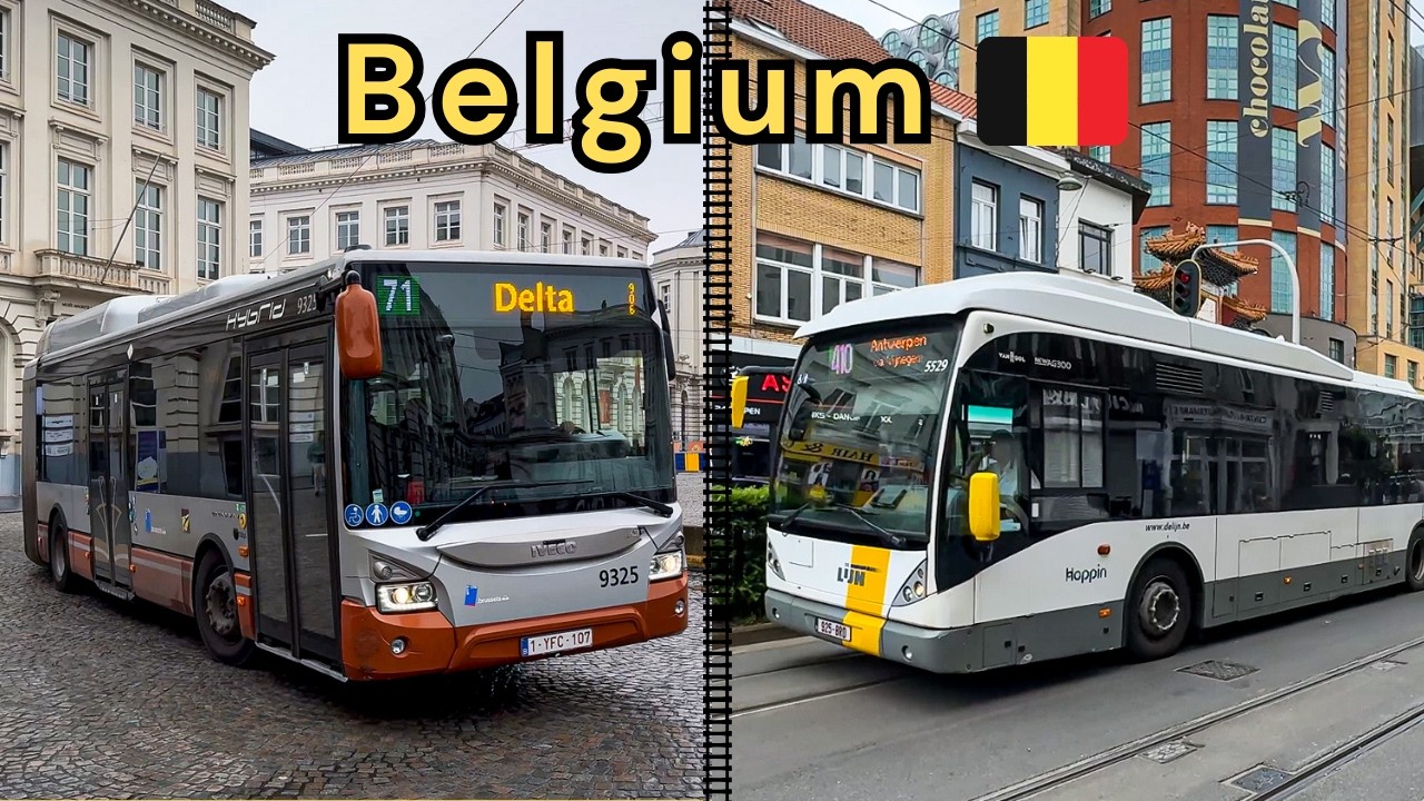 Buses in Belgium: Brussels and Antwerp 🇧🇪 | 2024 - YouTube