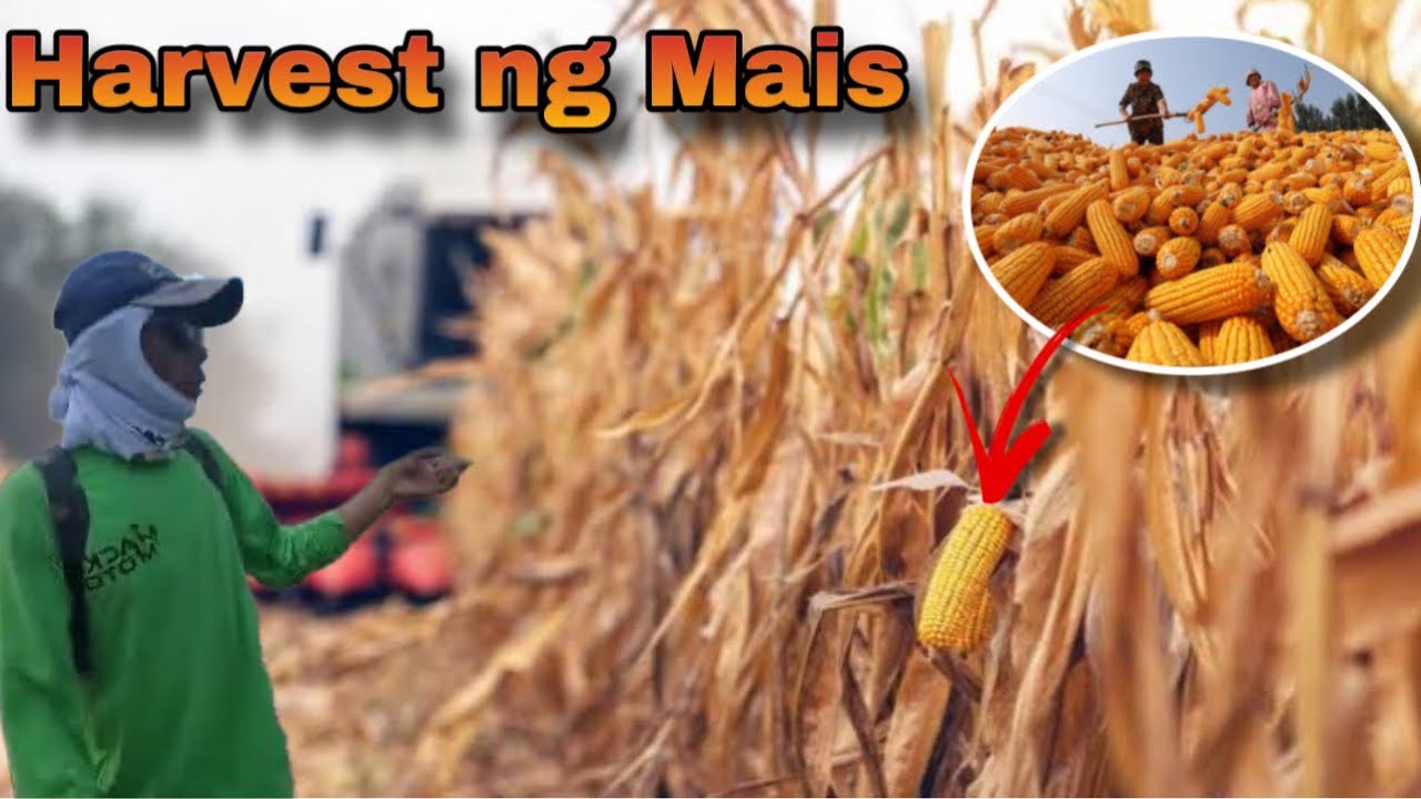 HATI Kami ni Kuya Rodel sa Kita - YouTube