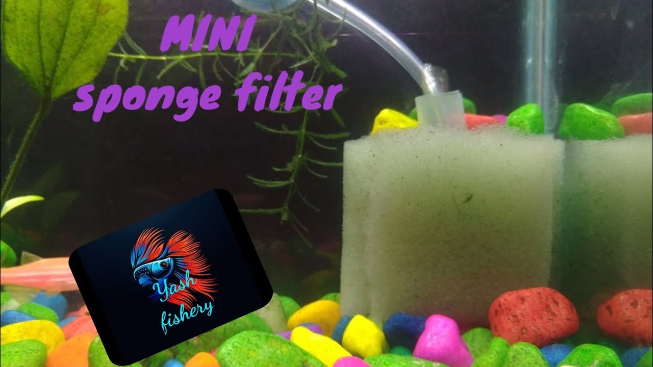 Mini sponge filter for Betta fish tank. - YouTube
