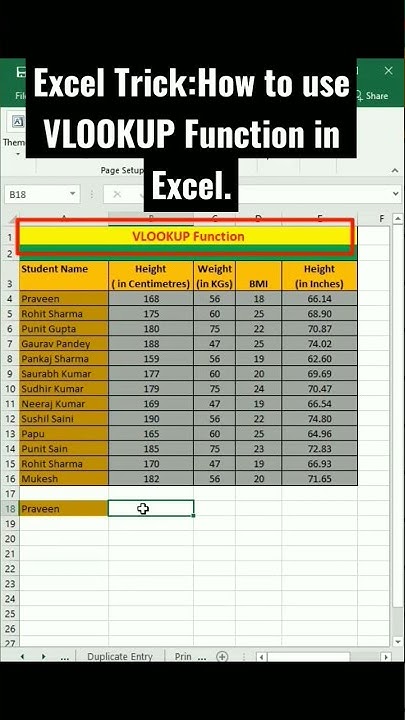 Excel Trick:How to use VLOOKUP Function in Excel. - YouTube