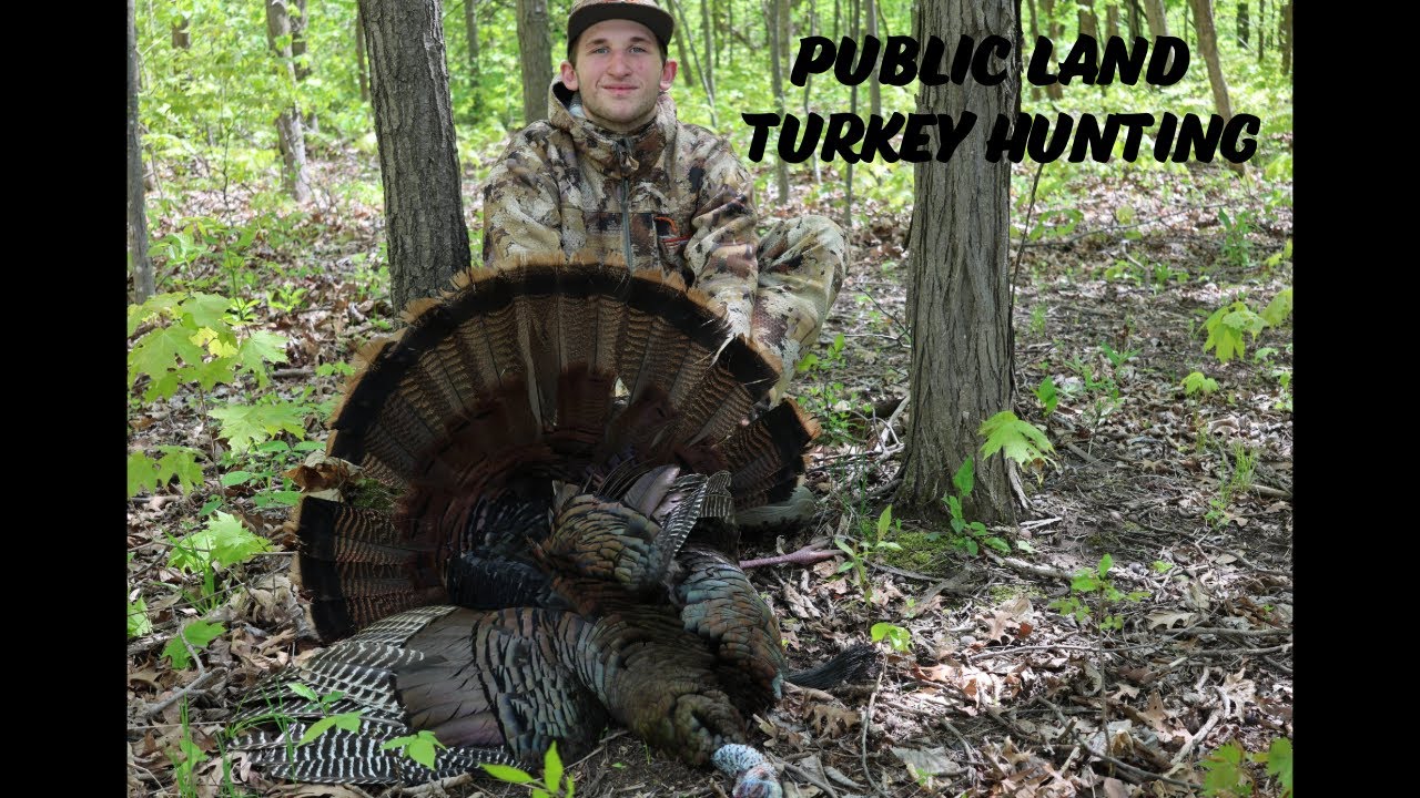 (CRAZY) Public Land Turkey Hunt!!! - YouTube