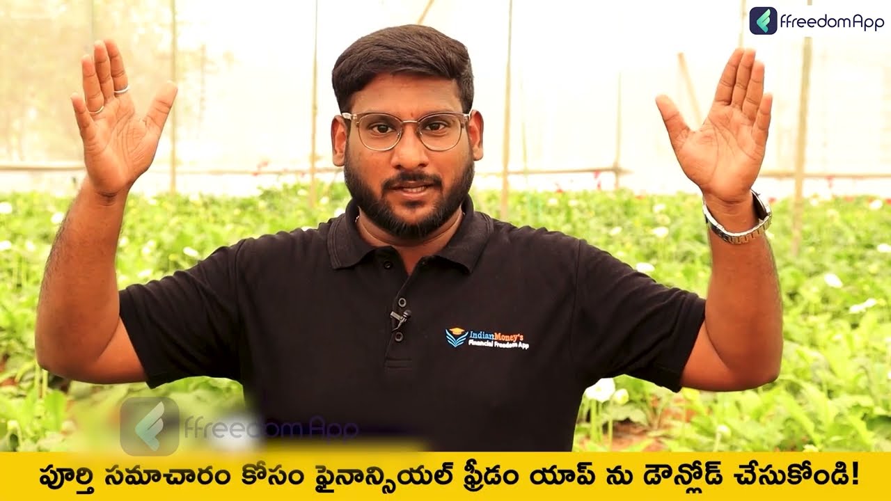 Polyhouse Flower Farming in Telugu - How to Start a Polyhouse Gerbera ...