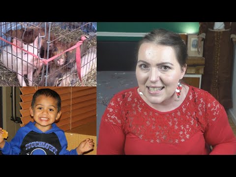 The Boy Fed to PIGS | The Case of ADRIAN JONES - YouTube