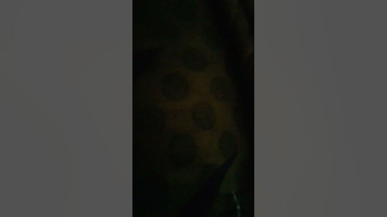 89o - YouTube