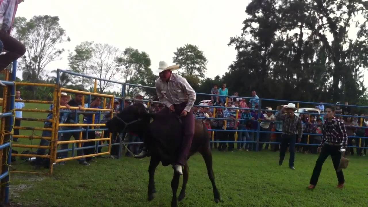 Jaripeo en sabana zona de jaripeos - YouTube