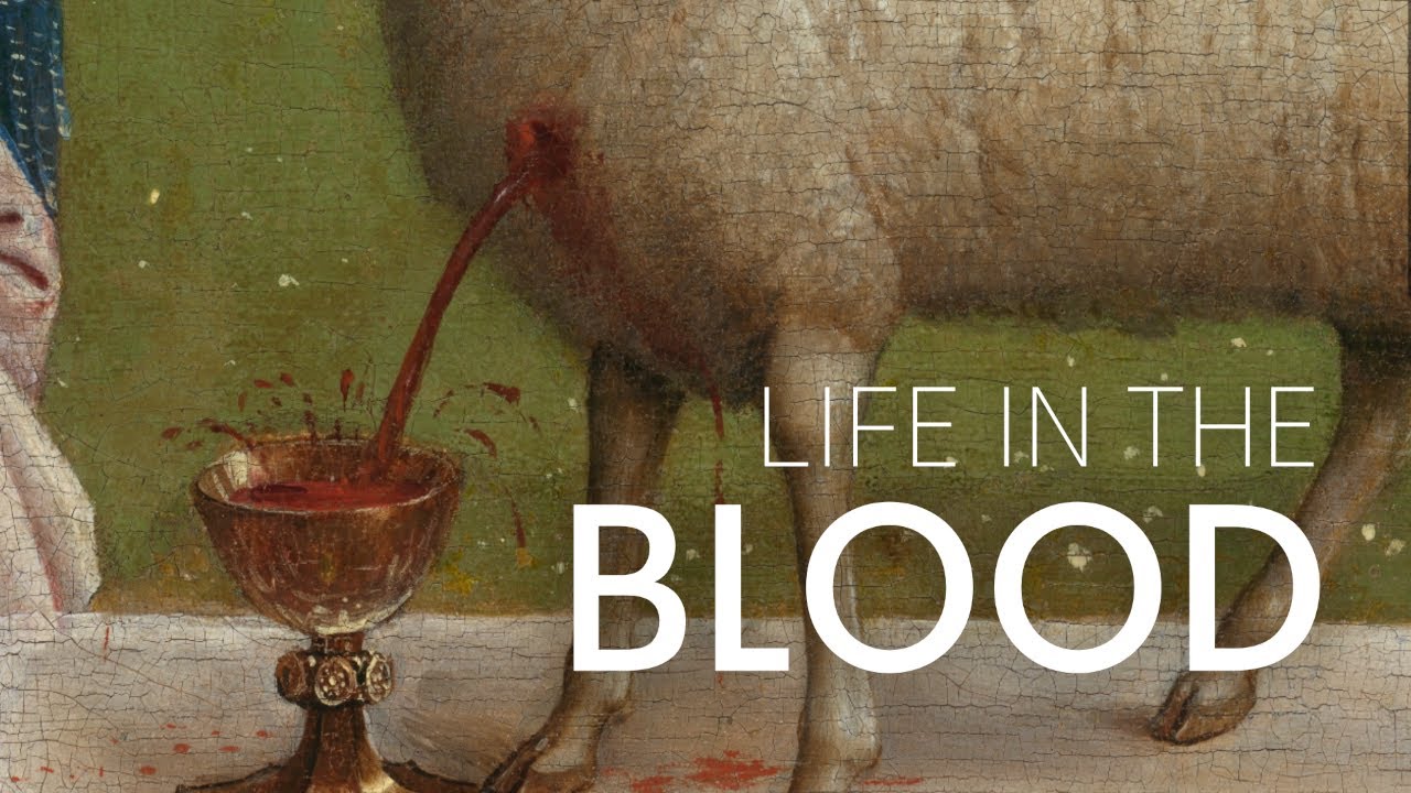 Life in the Blood - YouTube