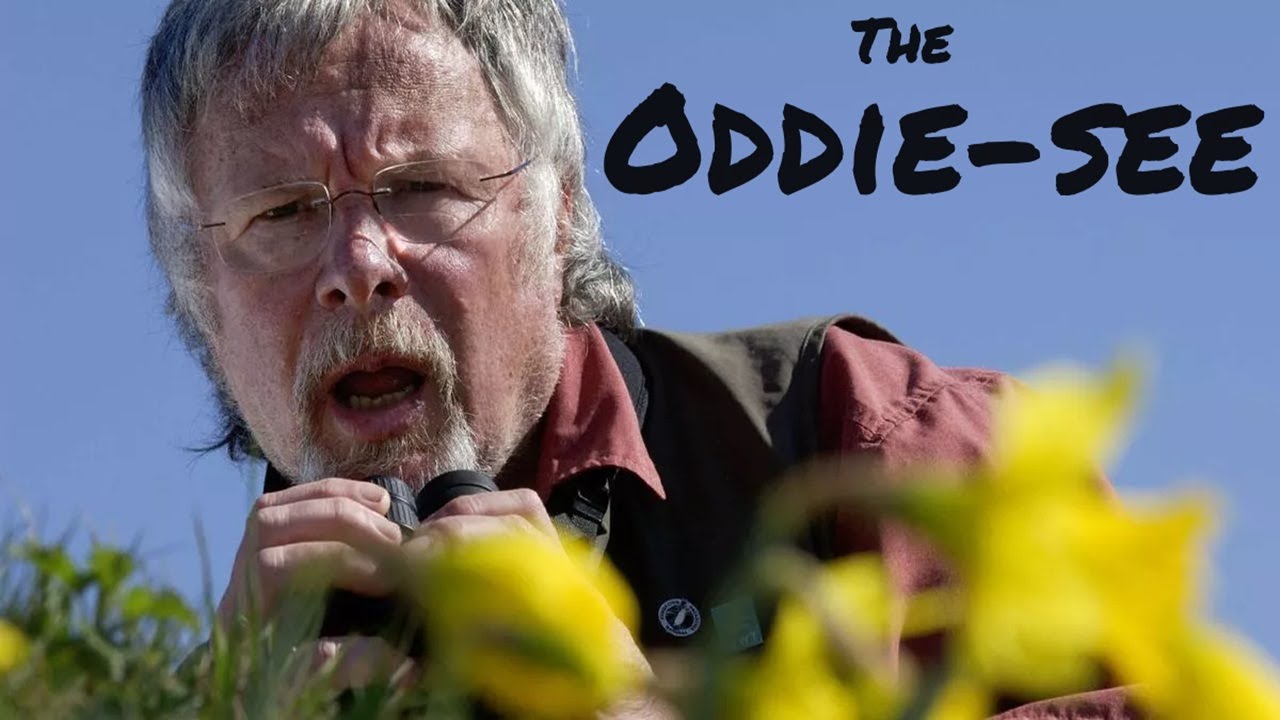 The Oddie-see - YouTube