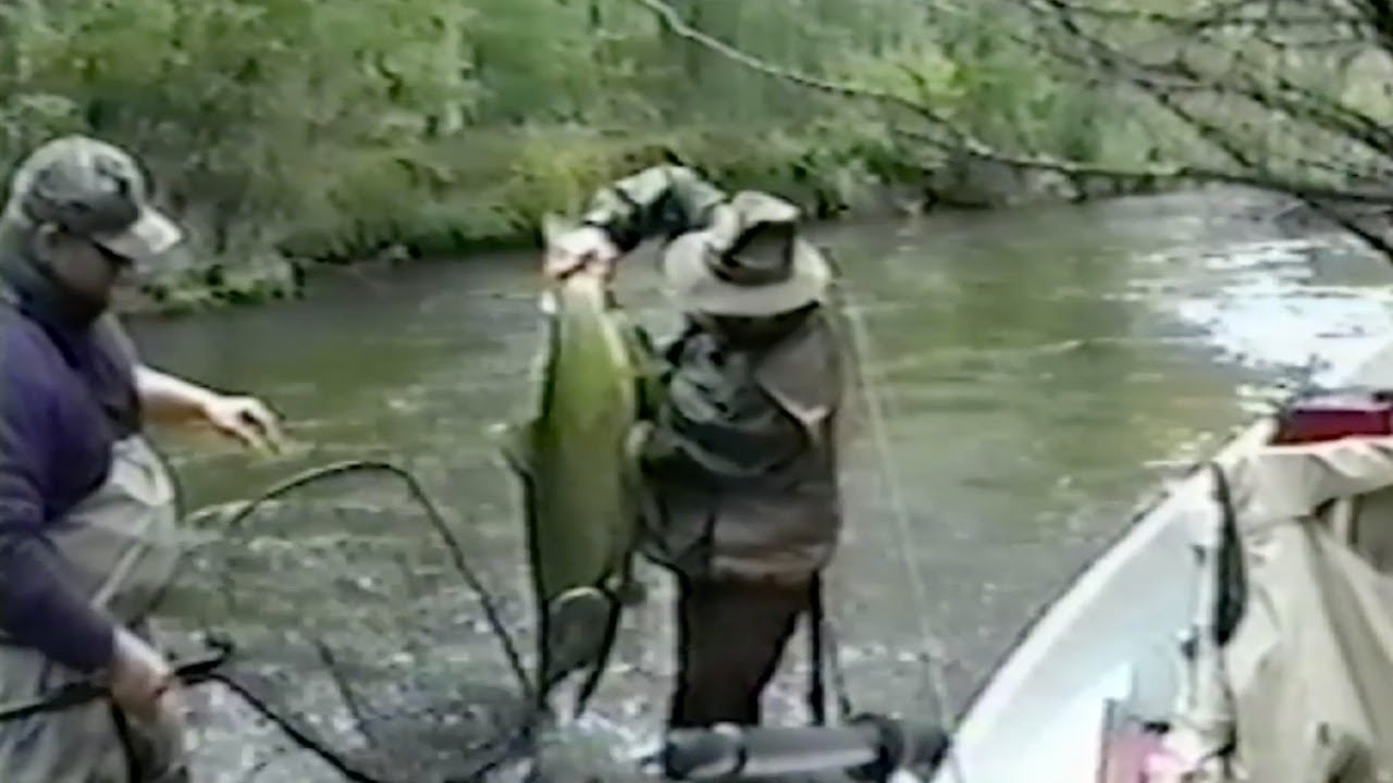 Huge Fish Takes Off With Rod - YouTube