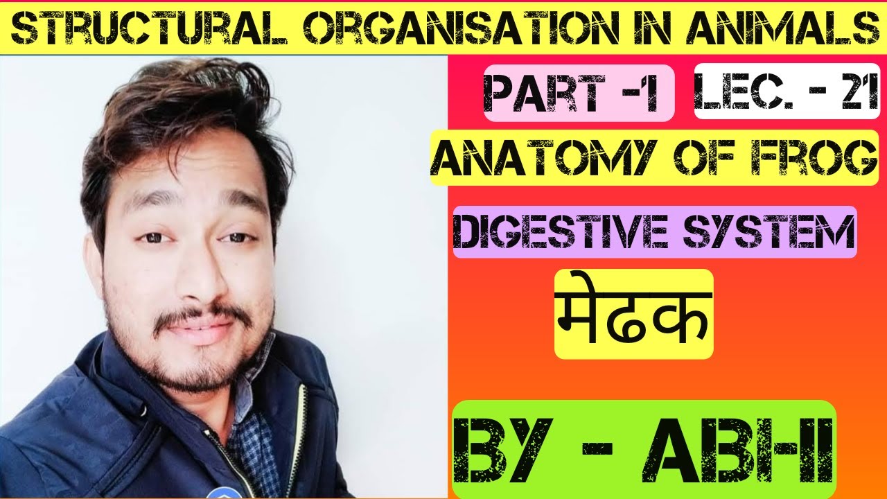 # Anatomy of Frog , # Digestive system of Frog,# NEET / AIIMS Digestive ...