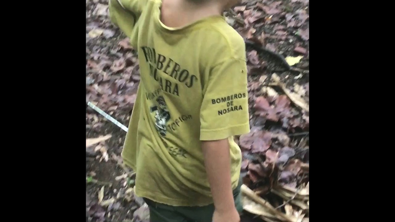 Hunter relocating a Toboba Gata, or Lyre Snake - YouTube