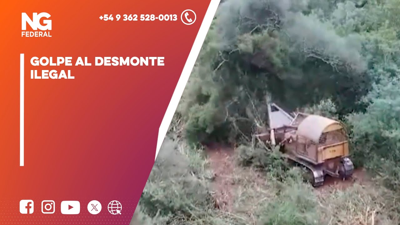 NGFEDERAL - GOLPE AL DESMONTE ILEGAL - YouTube