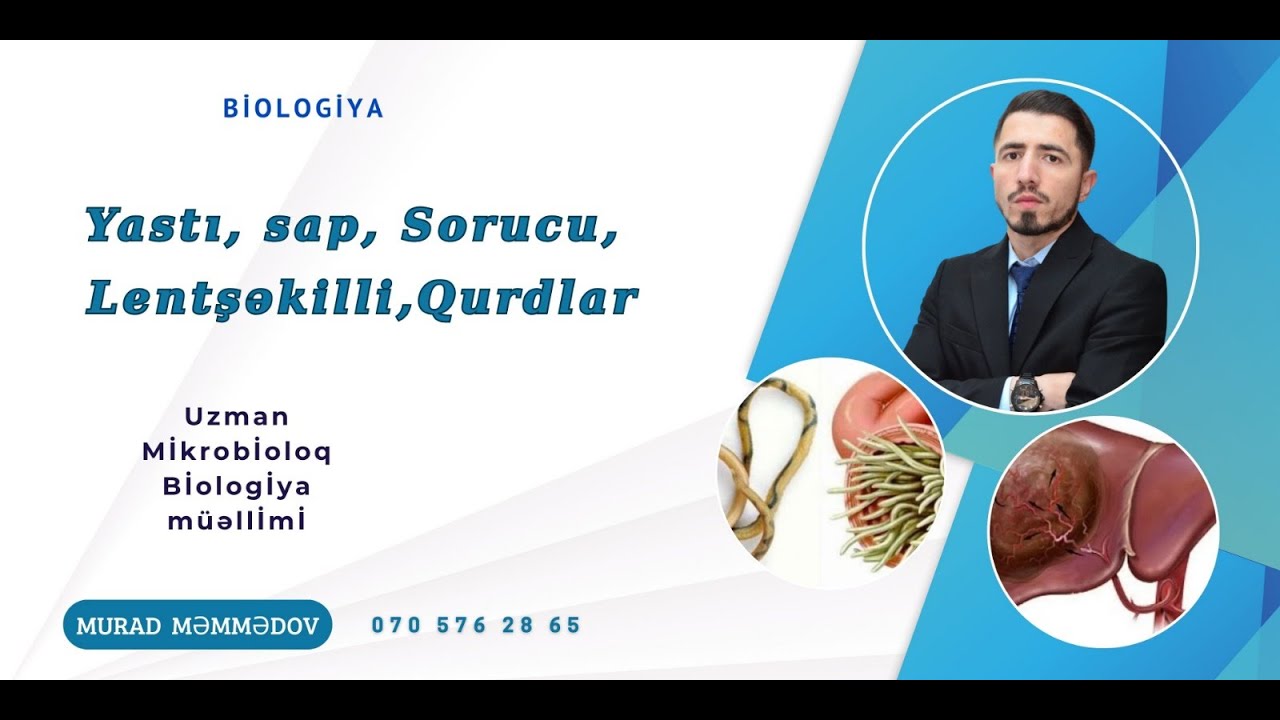 Qurdlar - Abituriyent sual cavab - YouTube