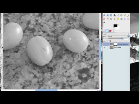 Gimp Tutorial - Smart Scissors - YouTube